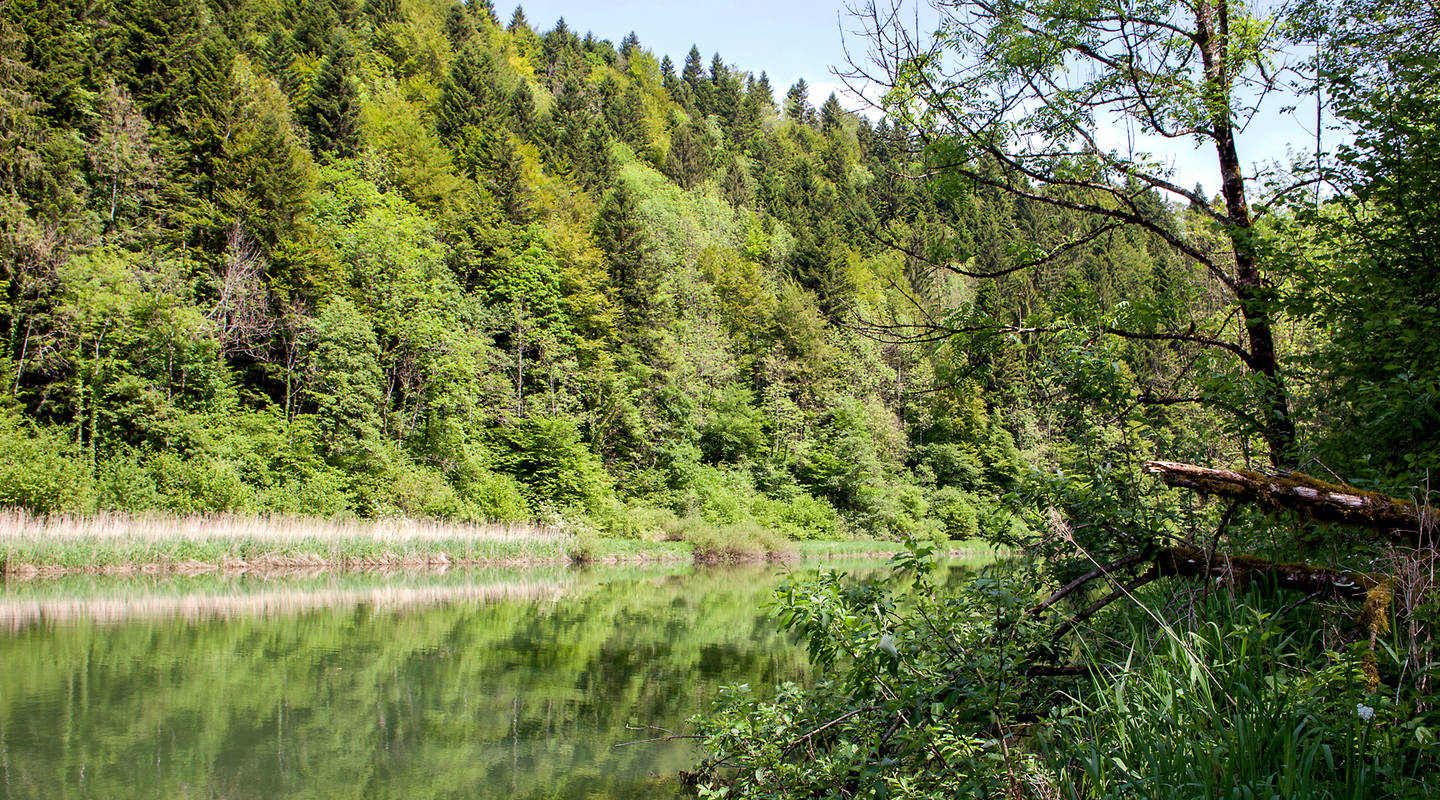 Nos offres | Pro Natura